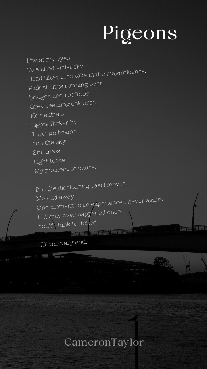 Pigeons – Cameron Tayor